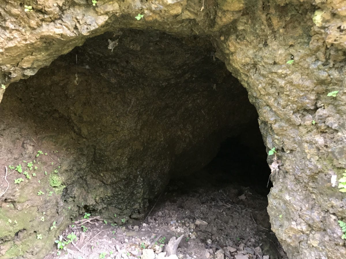 10 acres w/ small cave, river bed and MORE! - ID#UU10 - InstantAcres ...